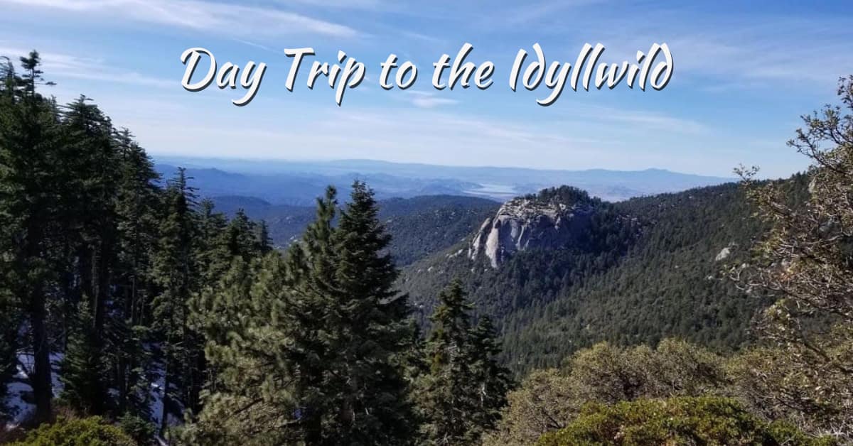 Palm Springs to Idyllwild Travel Guide 2026 – Unforgettable Road Trip