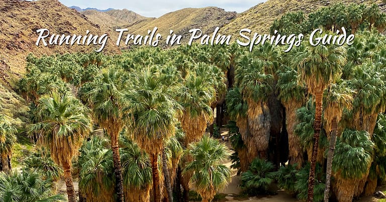 Best Running Trails in Palm Springs (2026 Guide)