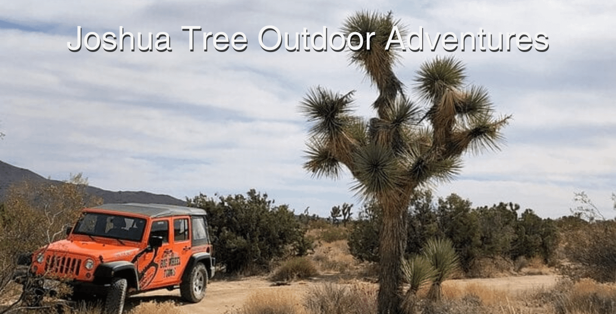 Joshua Tree Outdoor Adventures: Ultimate Guide